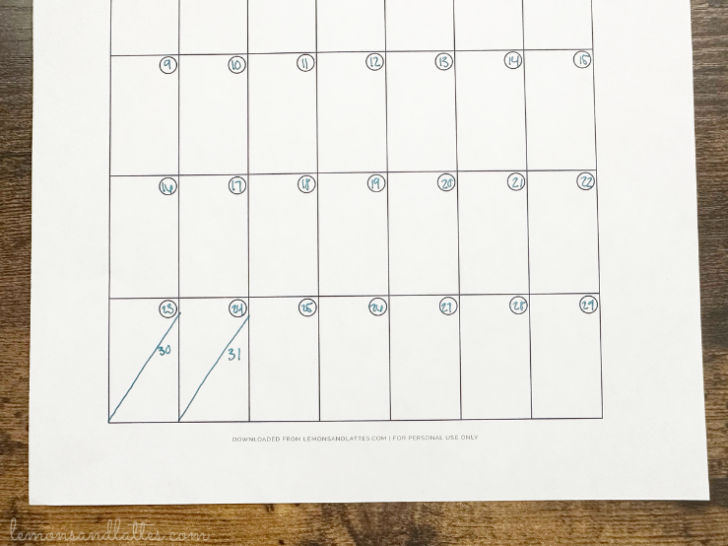 Printable Blank Calendar Templates (Undated and Empty)