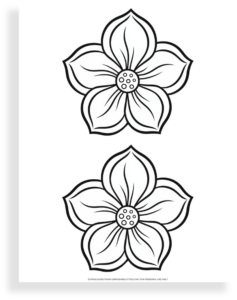 40 Free Printable Flower Outlines for Kids' Crafts